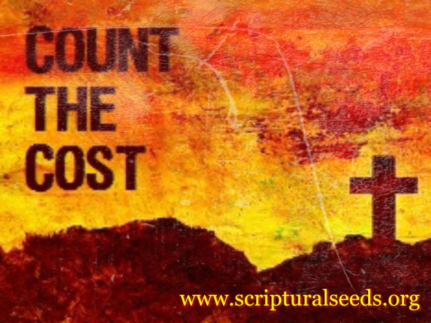 Count the Cost – soapflavoredmangos